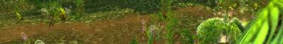 WoW Farming Fadeleaf - World of Warcraft Classic Farm Guide