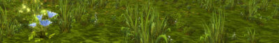WoW Farming Peacebloom - World of Warcraft Classic Farm Guide