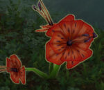 WotLK Herbalism 375-450 - WotLK Classic Guide