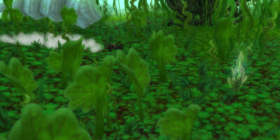 Farming Azshara's Veil - Cataclysm Classic Farming Guide